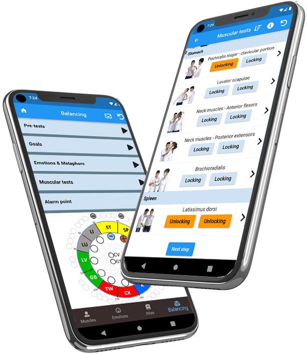 Touch for health application - TFH Animated Reference
